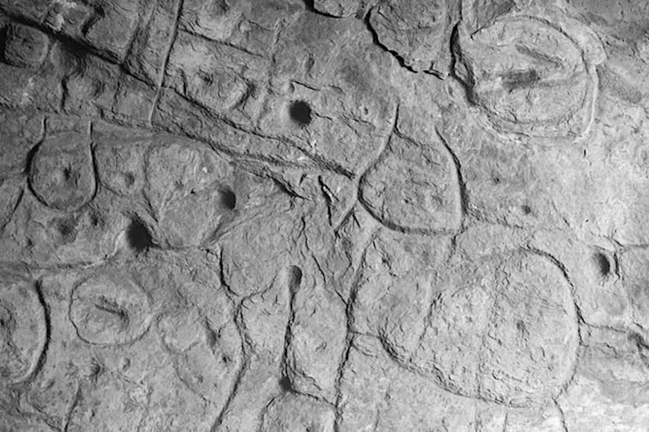 Czy kamień Saint-Belec - najstarsza mapa Europy - prowadzi do skarbu ...