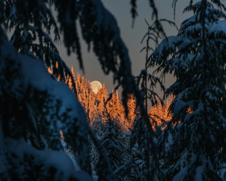 Pełnia Księżyca w lutym 2024: Śnieżny Księżyc to czas refleksji i ...