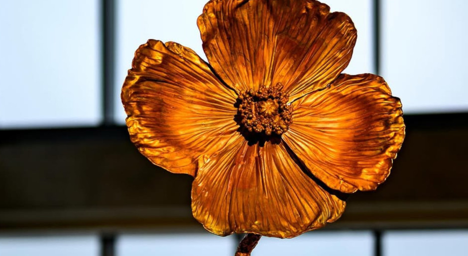 Zaklęte kwiaty Julii na pokazie Ulli Johnson. "Przemijające piękno ...